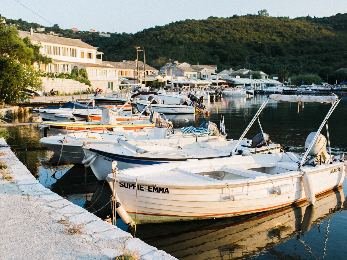 Blog - Olivia A. Gallucci